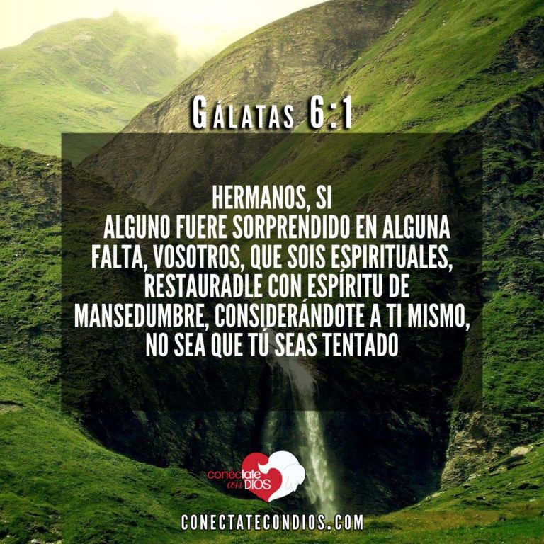Los 7 Mejores Versículos de Restauración - Conéctate Con Dios