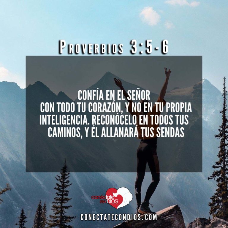 Los 7 Versículos Bíblicos para Confiar en Dios - Conéctate Con Dios