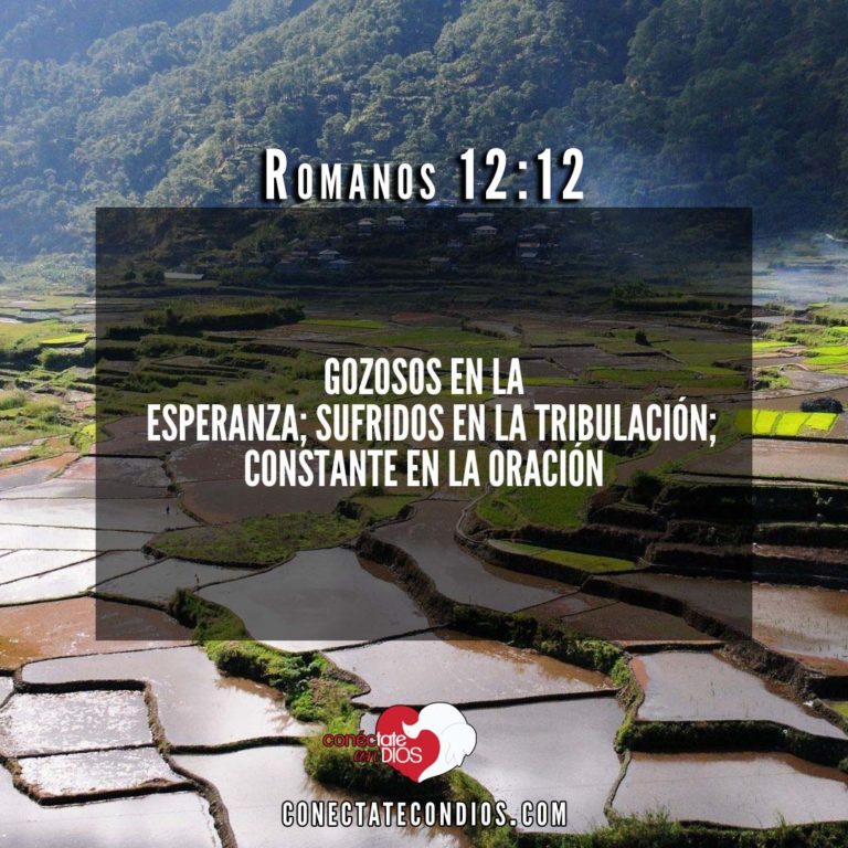 Los 7 Mejores Versículos de Esperar en Dios - Conéctate Con Dios